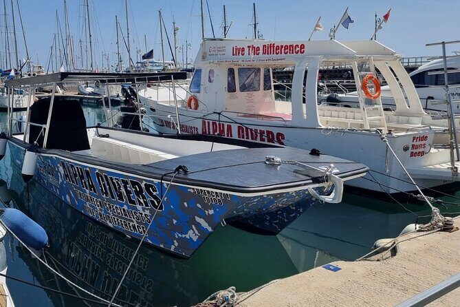 3 Wreck Dive Day in Zenobia and Elpida - The Itinerary Breakdown: What to Expect on the Day