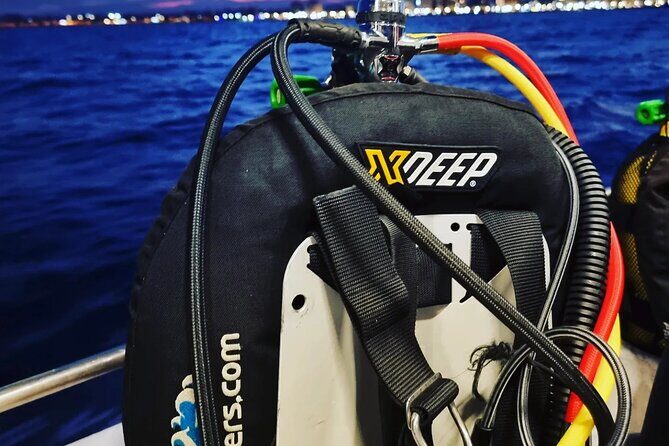 3 Wreck Dive Day in Zenobia and Elpida - FAQ: Common Questions About the Wreck Day Tour