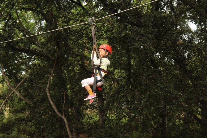 3 Ziplines & Dolphin Watching Snorkel Adventure - FAQ