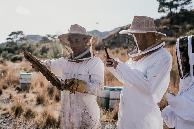 30-Minute Guided Honey Tasting Activity in Melini - Exploring the Sweet Side of Cyprus: A 30-Minute Guided Honey Tasting in Melini
