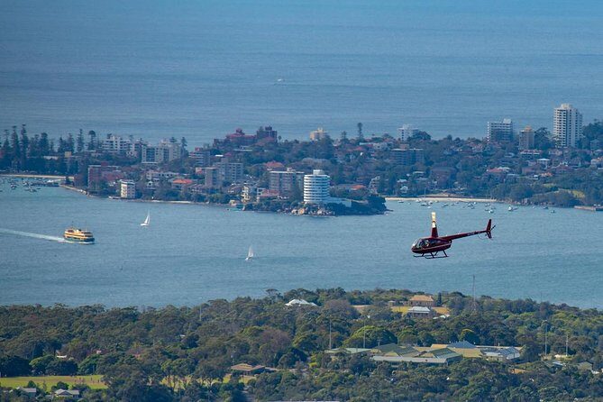 30-Minute Sydney Harbour and Olympic Park Helicopter Tour - Experience Sydney from the Sky: A 30-Minute Helicopter Tour Review