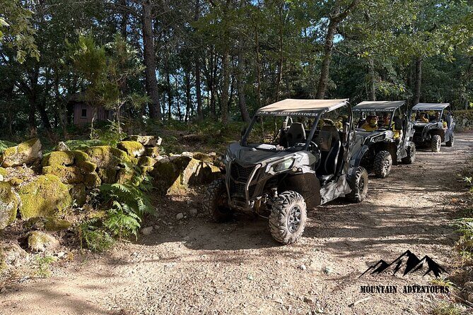 30 minutes Buggy Ride - Key Points
