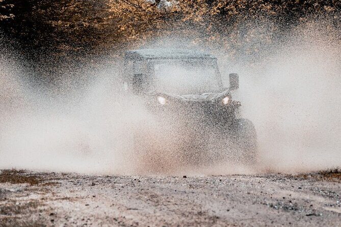 3,5 hours Guided Buggy Tour in Plitvice lakes - Practical Tips for Booking and Participating