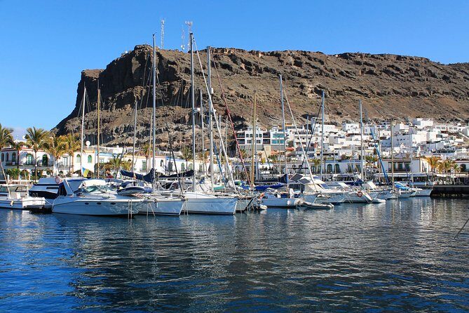 3h Boat Trip + Snorkeling in Puerto de Mogan - Frequently Asked Questions