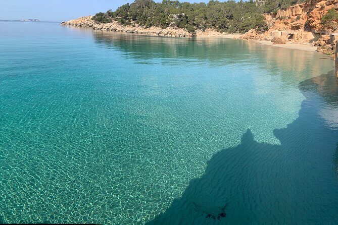 3h Private Cruise + Drinks, Snorkel & Paddle - What the Tour Offers: An Honest Breakdown