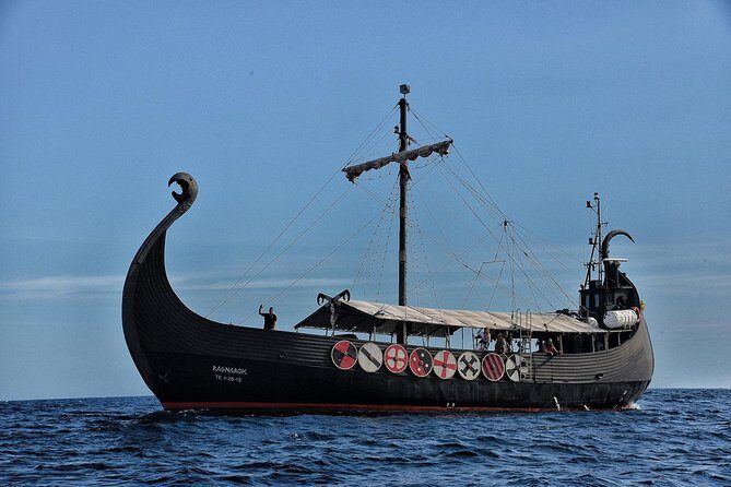 3h Viking Cruise with Drinks, Whales watching & Swimming Time - Practical Details & Tips