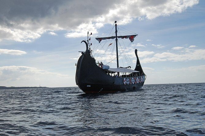 3h Viking Cruise with Drinks, Whales watching & Swimming Time - Final Thoughts