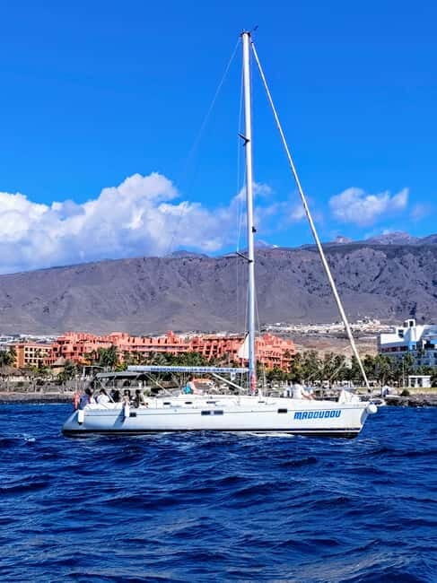 3h Whale Watching Private tour Beneteau Oceanis 440 - An In-Depth Look at the Experience