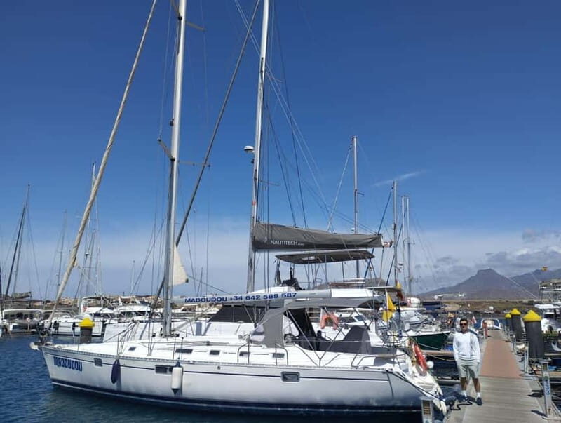 3h Whale Watching Private tour Beneteau Oceanis 440 - The Real Deal from Guest Reviews