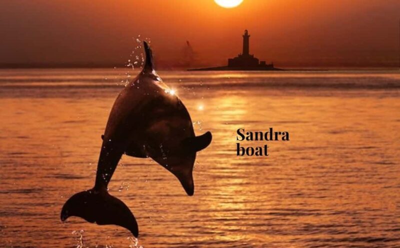 3hours Dolphin Sunset watching with unlimited drinks +dinner - Key Points