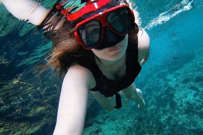 4 Cenotes at Casa Tortuga Park+ Tulum Ruins from Cancun & Riviera - Final Thoughts