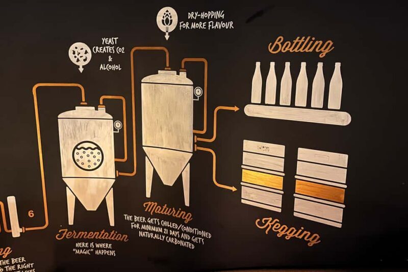 4 Craft Premium Beers Tasting with the Brewer - What to Expect During the Tour