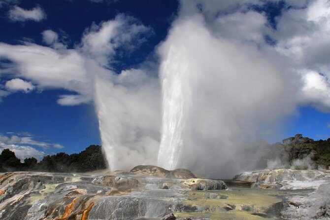 4-Day Auckland to Wellington via Rotorua Tour - Who Should Consider This Tour?