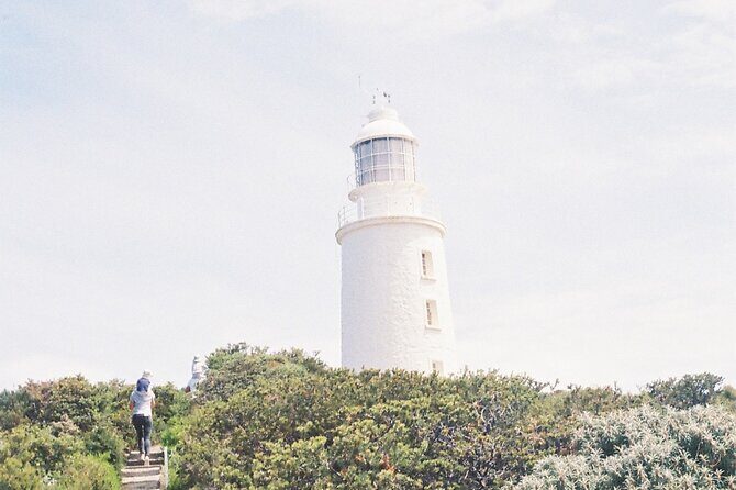 4 Day Bundle - Hobart, Port Arthur, Bruny, Hastings and Tahune - Final Thoughts