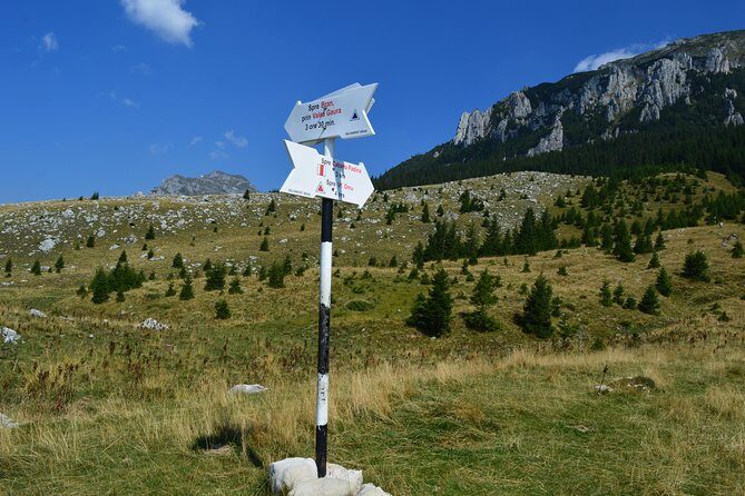 4-Day Carpathian Trek: Bucegi Mountains and Piatra Craiului National Park - FAQs