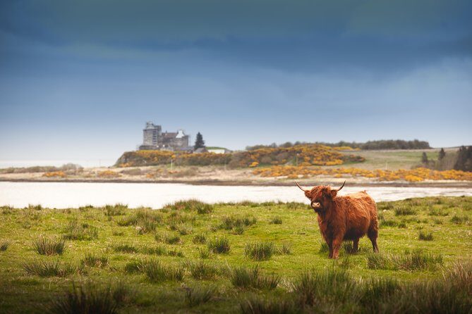 4-Day Magical Mull, Iona & West Highlands Small-Group Tour from Edinburgh - FAQs