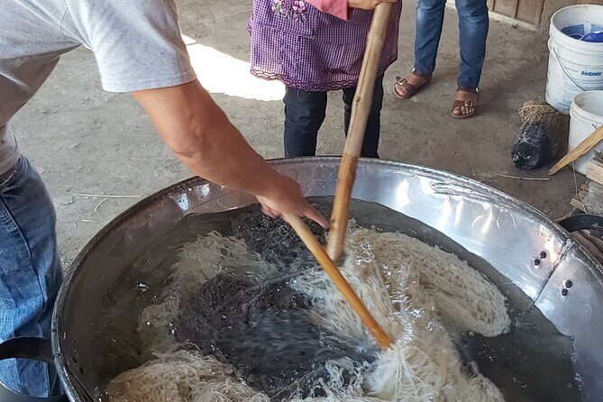 4 Day Oaxaca Excursion with Transfer included - Practical Tips for Travelers