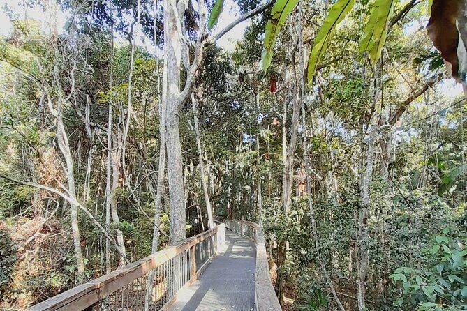 4-Day Private Coastal Escape from Sydney to Mid North Coast - Why This Tour Stands Out  