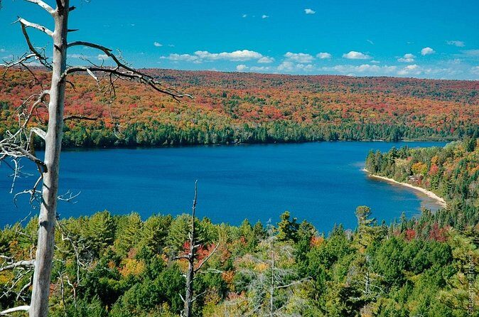 4 Day Small Group Tour Toronto Niagara Falls and Ontario Lakes - Who Should Consider This Tour?