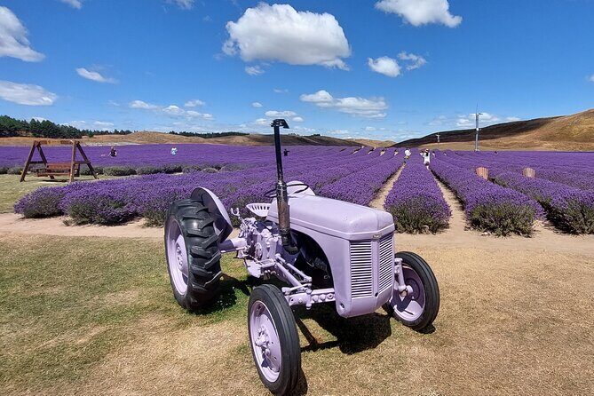 4 Day Tour to Milford Sound, Mount Cook & More from Christchurch - Additional Information