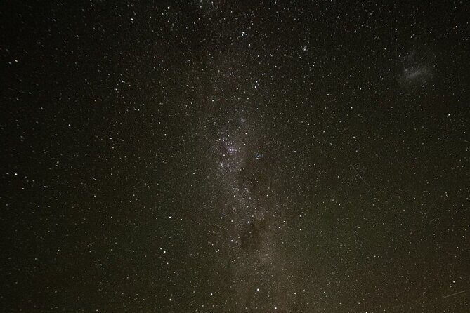 4 Day Tour to Milford Sound, Mount Cook & More from Queenstown - Authentic Experiences from Past Travelers