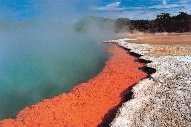 4-Day Wellington to Auckland via Rotorua Tour - Key Points