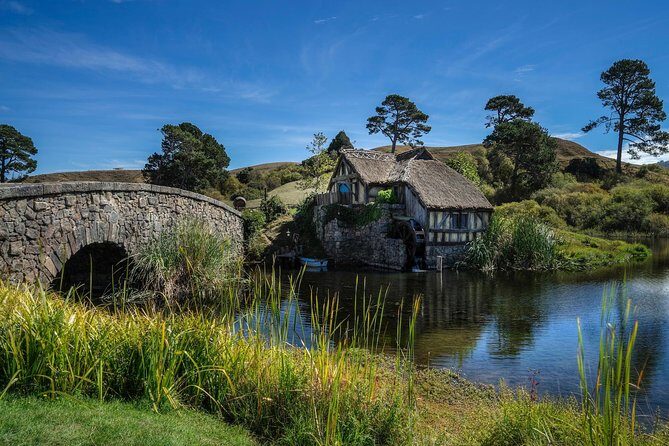 4-Day Wellington to Auckland via Rotorua Tour - Who Should Consider This Tour?