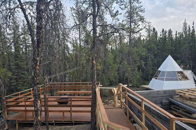 4 Days 3 Nights Yellowknife Aurora Hunting and Viewing Experience - Detailed Review of the Yellowknife Aurora Tour