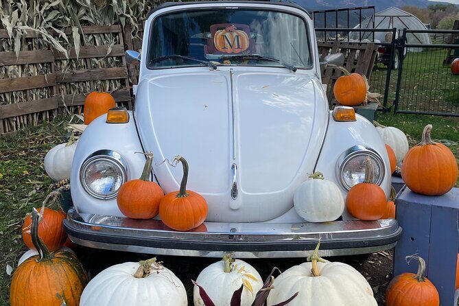 4 Days Canadian Rockies Fall/Spring Tour - The Complete Canadian Rockies 4-Day Experience