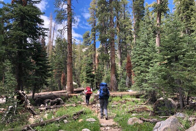 4 Days Guided Yosemite Half Dome Tour - The Sum Up