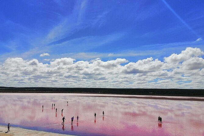 4 Days Tour to Pink Lake Kalbarri, Margaret River and South West - An Honest Breakdown of the 4-Day Itinerary