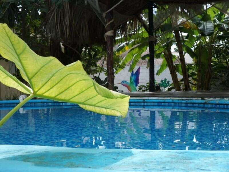 4 Days Yoga, Snorkel and Horseback Riding in Cozumel - 4 Days Yoga, Snorkel and Horseback Riding in Cozumel — A Practical and Authentic Retreat Experience