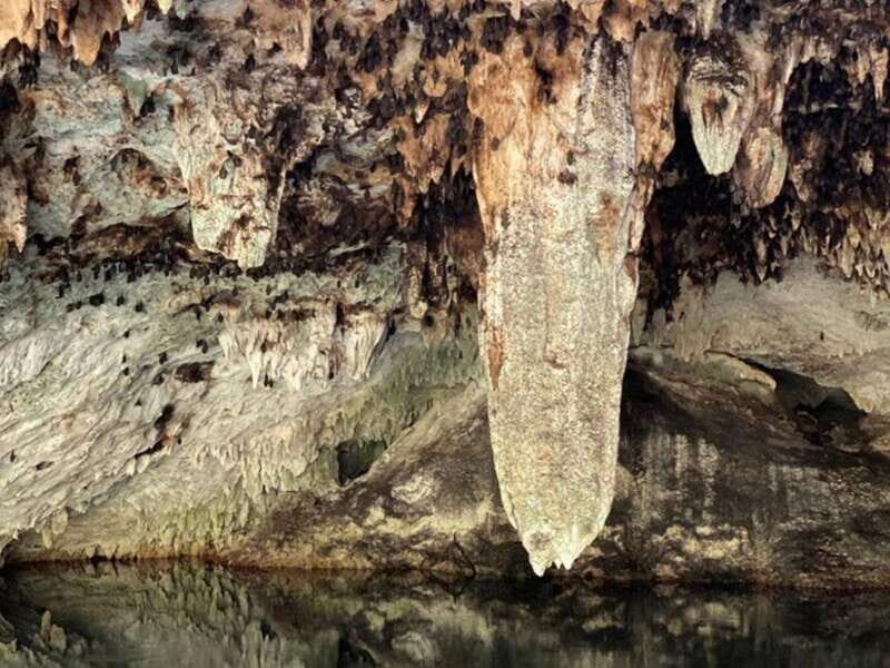 4 Days Yoga, Snorkel and Horseback Riding in Cozumel - Practical Tips for Your Trip