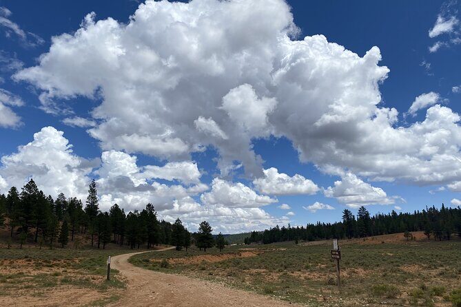 4-Hour, 5-seat ATV Rental next to Bryce National Park - FAQ