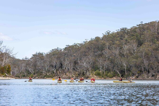 4 Hour Aboriginal Culture Tour Kayaking Pambula River - Authentic Experiences Highlighted by Travelers