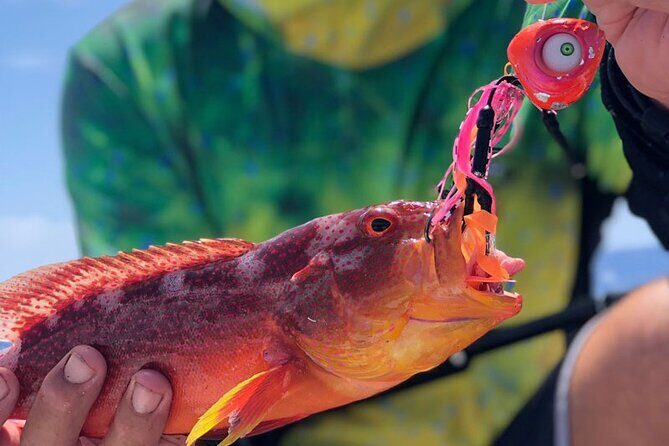 4 Hour Ariki Fishing Activity in Moorea - Exploring Moorea’s Waters: What to Expect from the Tour