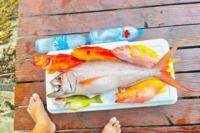 4 Hour Ariki Fishing Activity in Moorea - Insights from Travelers