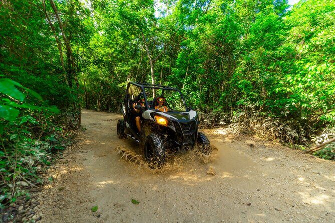 4-Hour Cancun Jungle Buggy Tour with Zipline Circuit & Cenote - Key Points