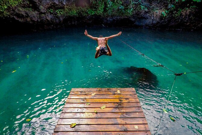 4-Hour Cancun Jungle Buggy Tour with Zipline Circuit & Cenote - Who Should Consider This Tour?