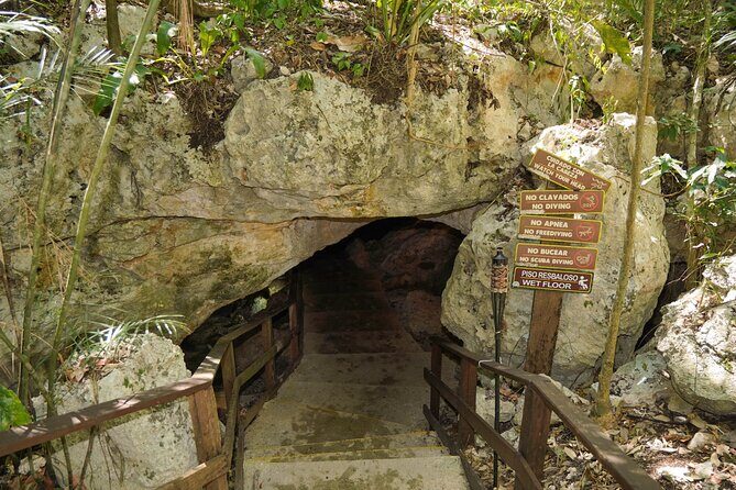 4-Hour Cenotes Tour with Hotel Pickup in Riviera Maya - FAQ