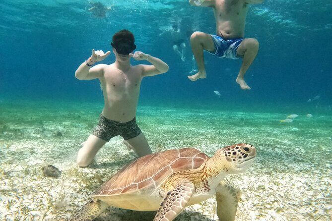 4 Hour Cozumel Turtle Sanctuary Experience on a Luxury Catamarán - The Sum Up