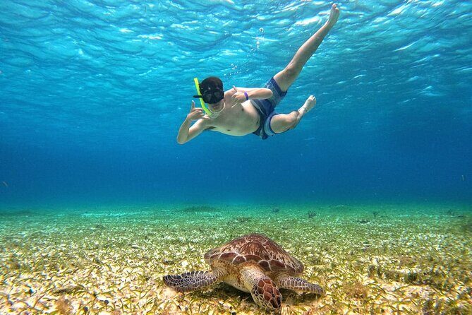 4 Hour Cozumel Turtle Sanctuary Experience on a Luxury Catamarán - Frequently Asked Questions