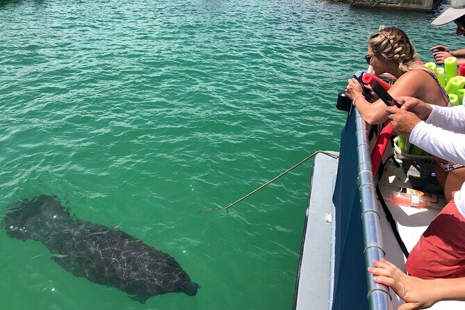 4 Hour Egmont Key Island Tour With Dolphins & Snorkeling Included - The Final Word: Is This Tour for You?
