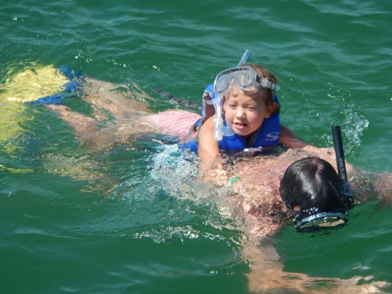 4 Hour Egmont Key Island Tour With Dolphins & Snorkeling - Exploring the Itinerary: What You Can Expect from Start to Finish