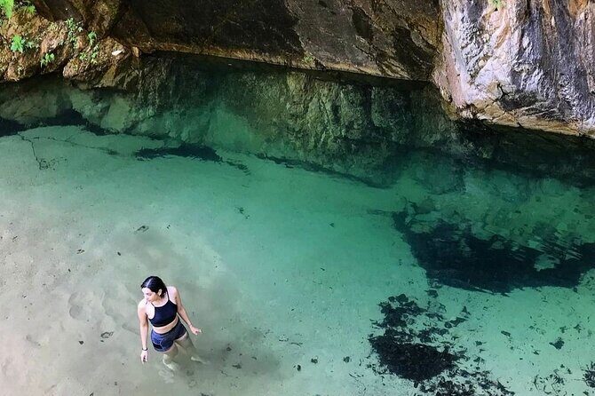 4-Hour Jungle Hike and Waterfall Swim - The Itinerary: From Puerto Vallarta to the Heart of the Jungle