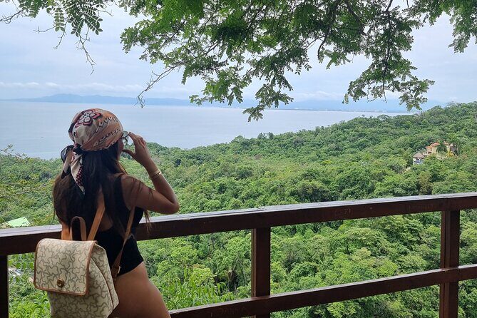 4-Hour Jungle Hike and Waterfall Swim - Wildlife, Flora, and Hidden Gems