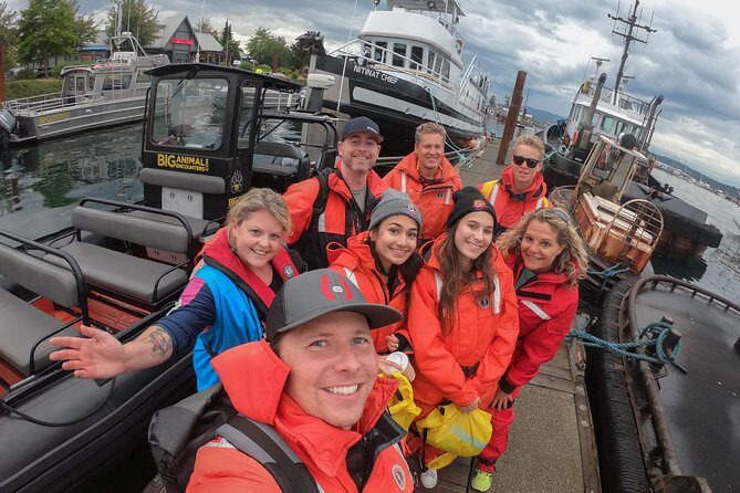 4 Hour Morning Whale Watching Tour - The Sum Up