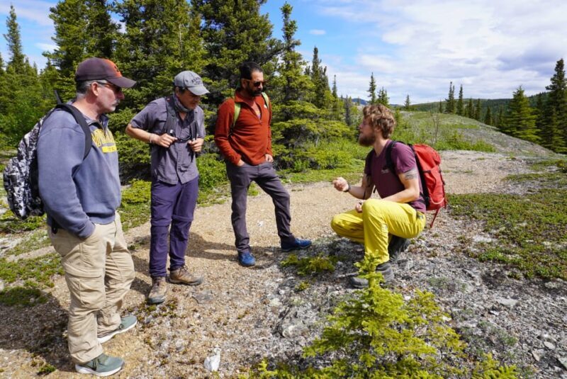 4 Hour Off-Trail Wilderness Wonders Tour in Denali - An In-Depth Look at the Denali Wilderness Tour