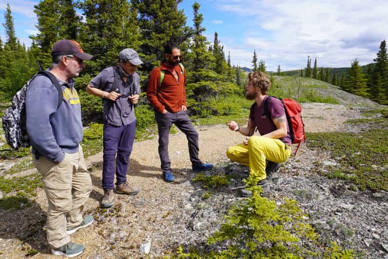 4 Hour Off-Trail Wilderness Wonders Tour in Denali - Who Will Enjoy This Tour?