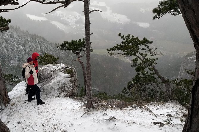 4-Hour Private Alpine Great George at High Wall Mountain from Vienna - Value for Money: Is It Worth It?